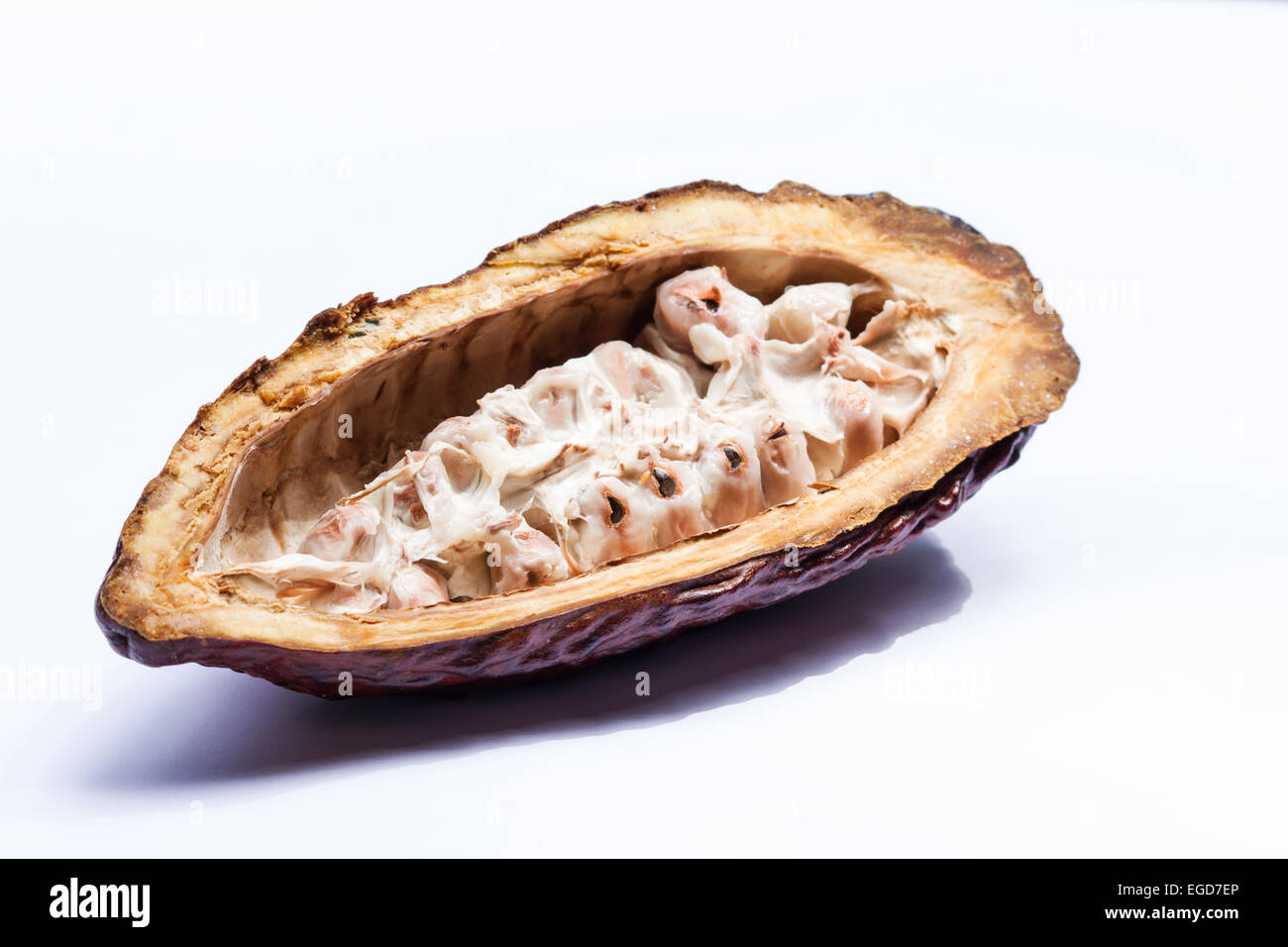 Fresh Theobroma cacao pod half on white background Stock Photo - Alamy