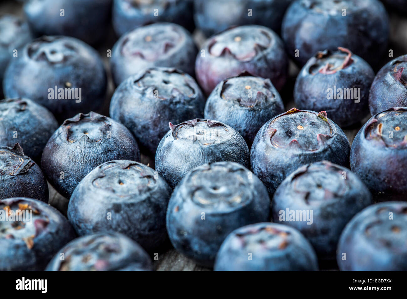 Fresh Berries - Blueberries background closeup Stock Photo - Alamy