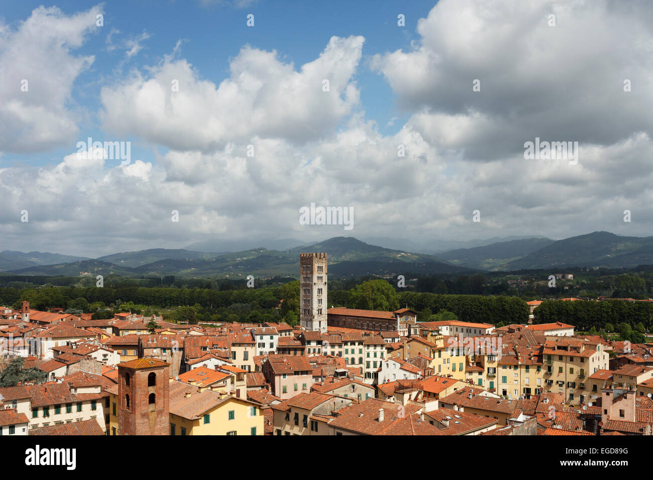 View from Torre Guinigi, tower, Piazza dell Anfiteatro, square ...