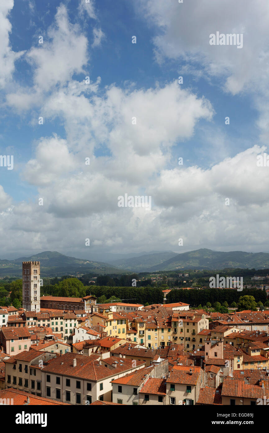 View from Torre Guinigi, tower, Piazza dell Anfiteatro square, Basilica ...