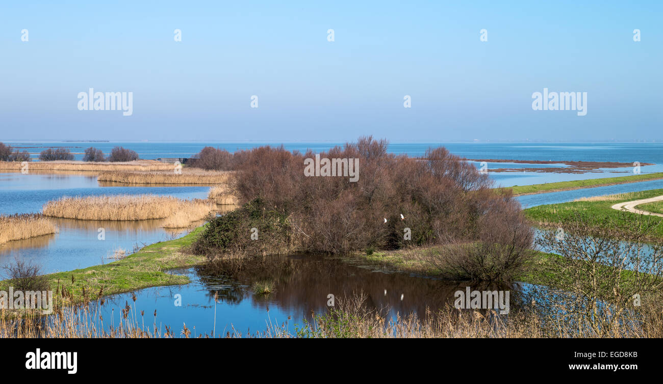 Nature park the po hi-res stock photography and images - Alamy