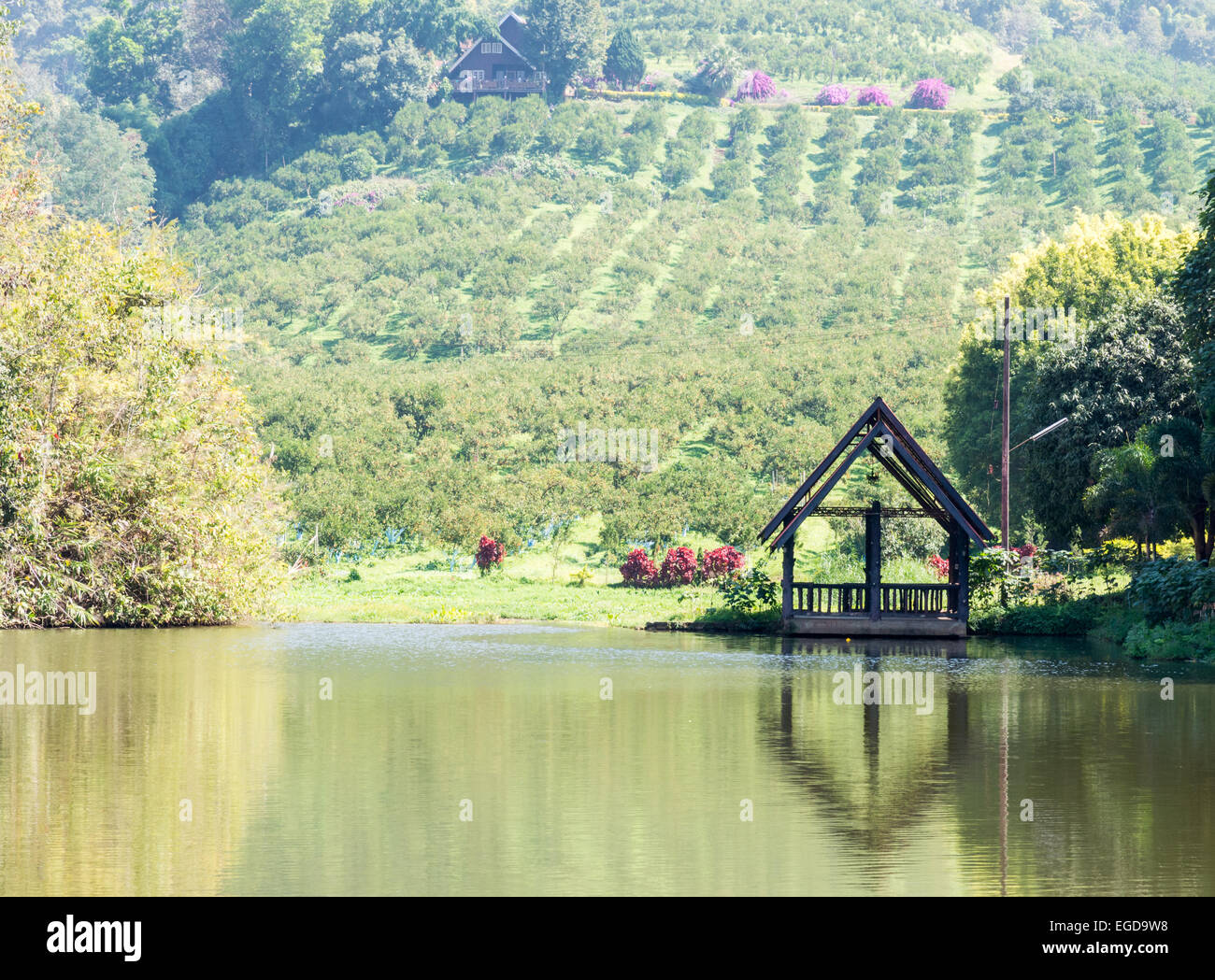 Pavilion farm hi-res stock photography and images - Alamy