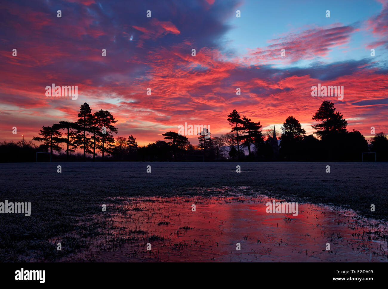 Sunrise over a frosty park,reflected in a frozen puddle Stock Photo - Alamy