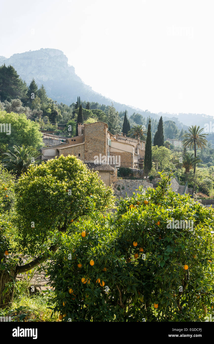 Deia, Majorca, Spain Stock Photo - Alamy