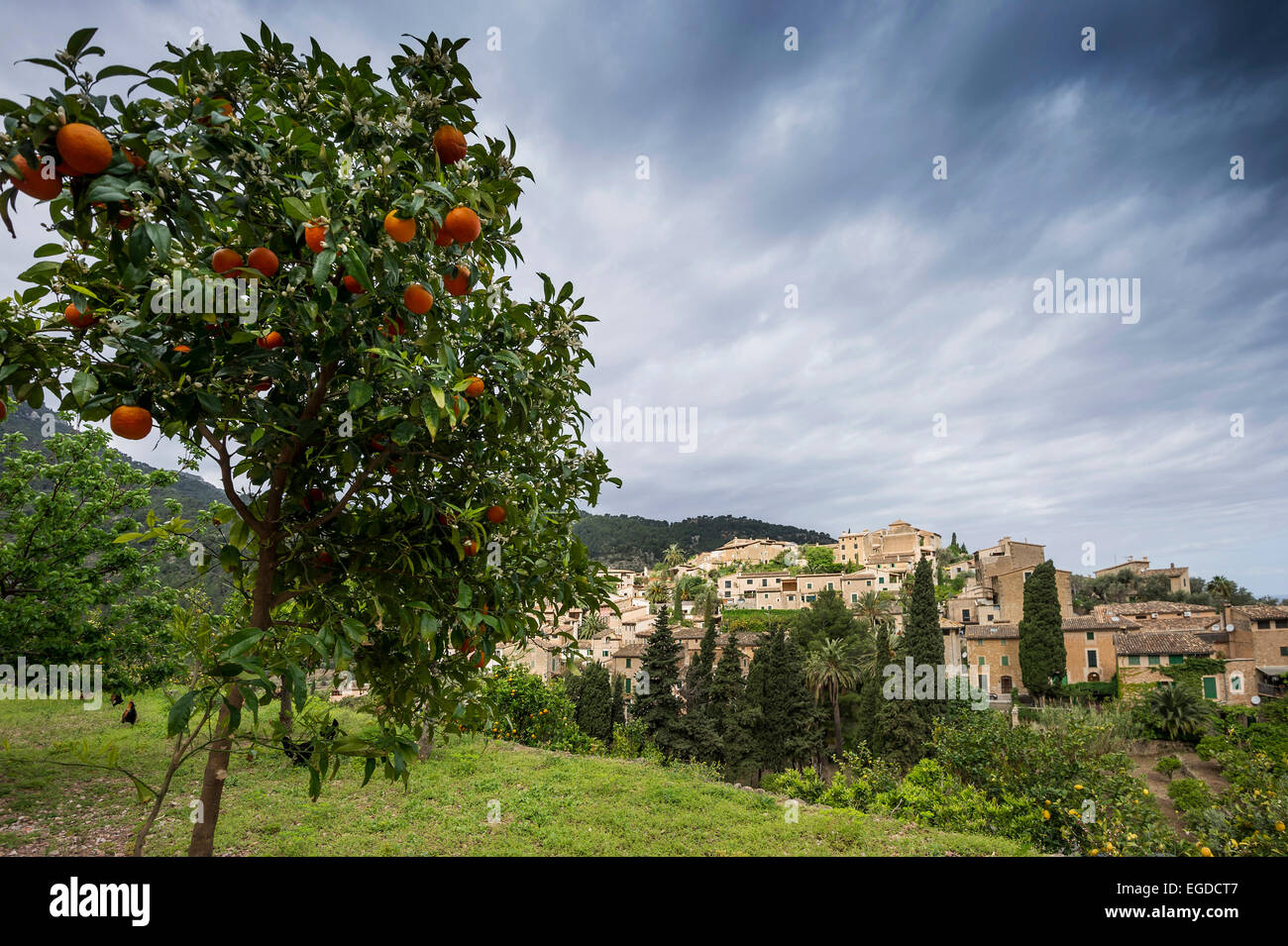 Town of Deia, Majorca, Spain Stock Photo - Alamy