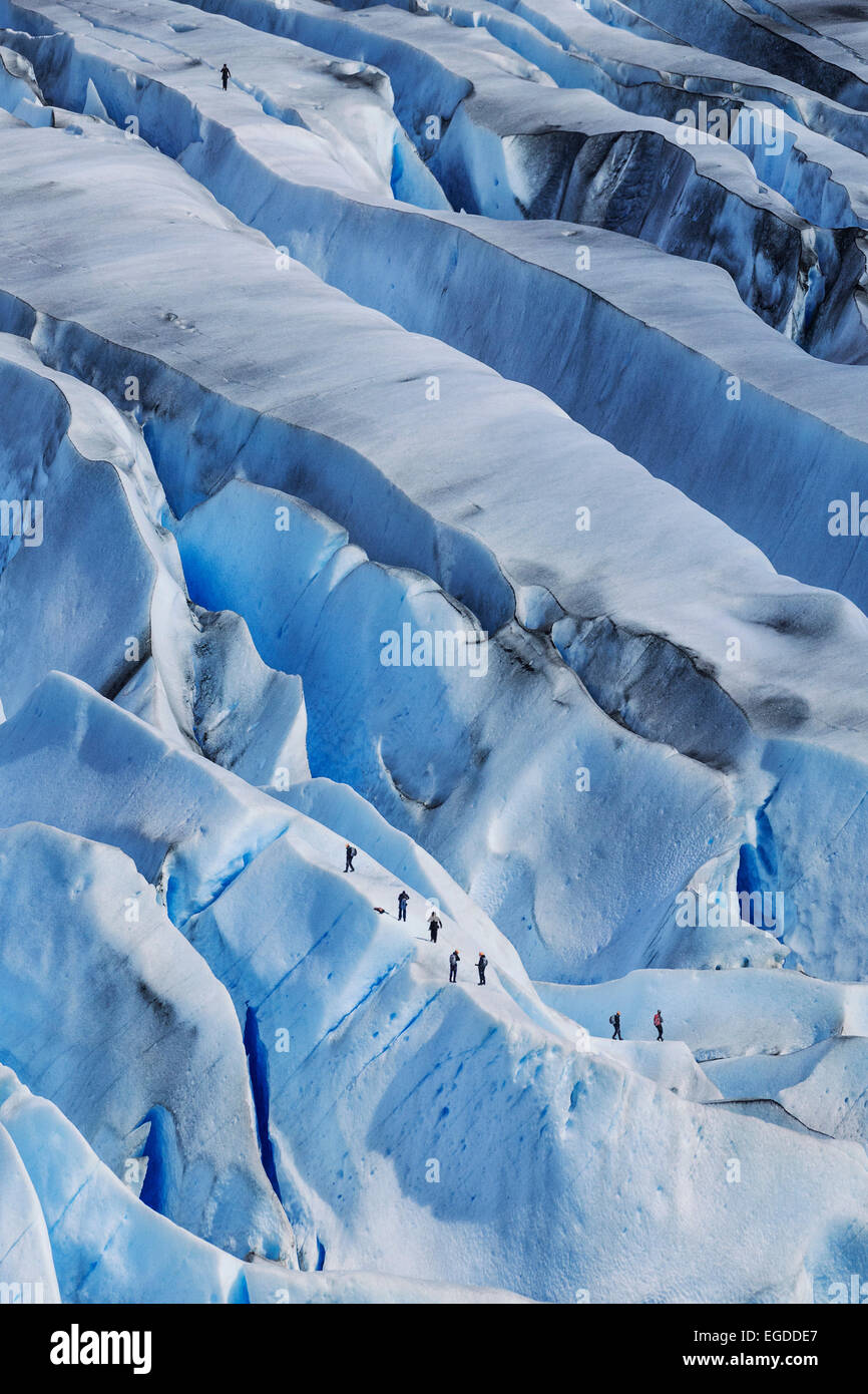 Chile, Patagonia, Torres del Paine National Park (UNESCO Site), Lake ...
