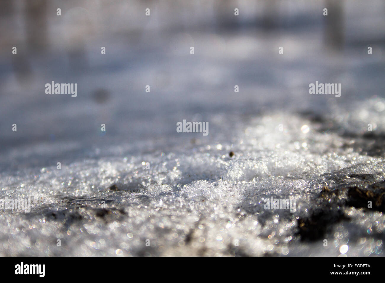 Melting spring snow abstract natural light background Stock Photo - Alamy
