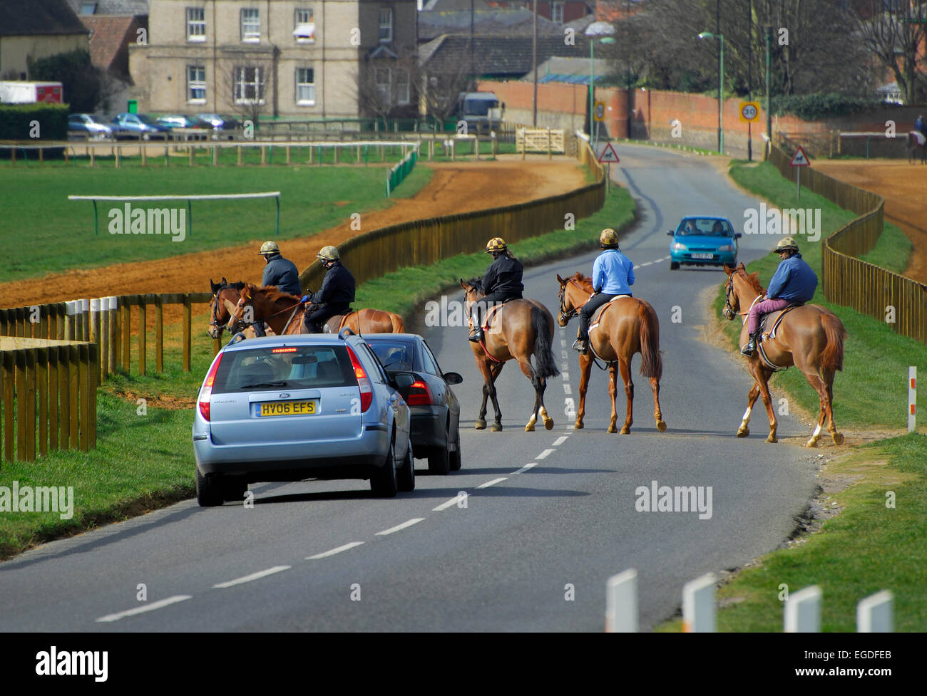 race horses crossing road at newmarket, suffolk, england Stock Photo ...