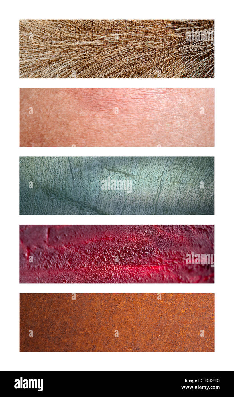 Backgrounds texture background textures Cut Out Stock Images & Pictures ...