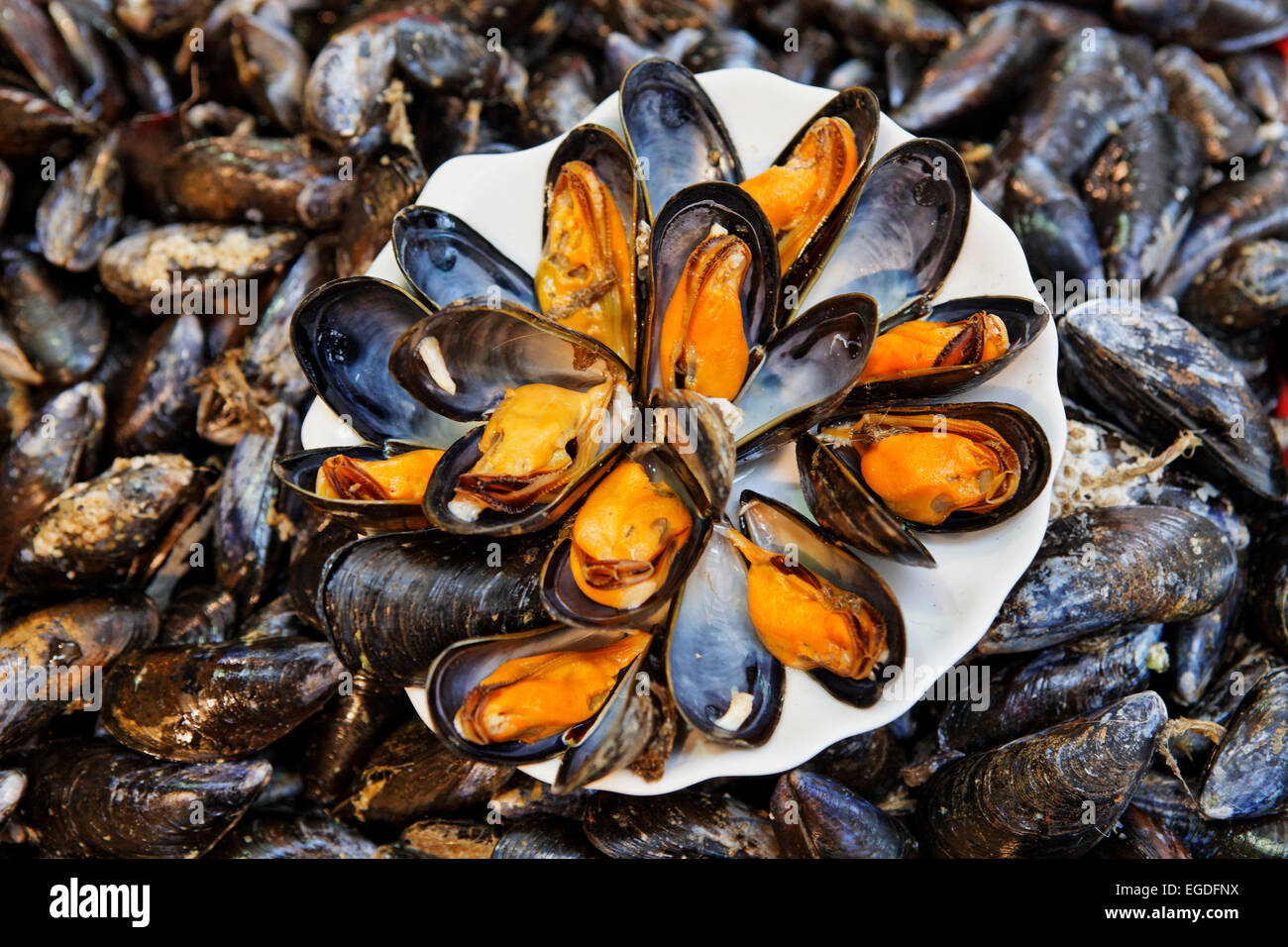 Display of mussles at the fish market in Trouville-sur-mer, Lower ...