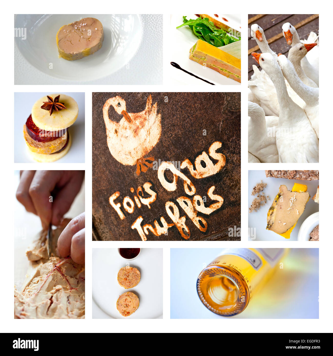 Collage of various pictures of French foie gras Stock Photo - Alamy