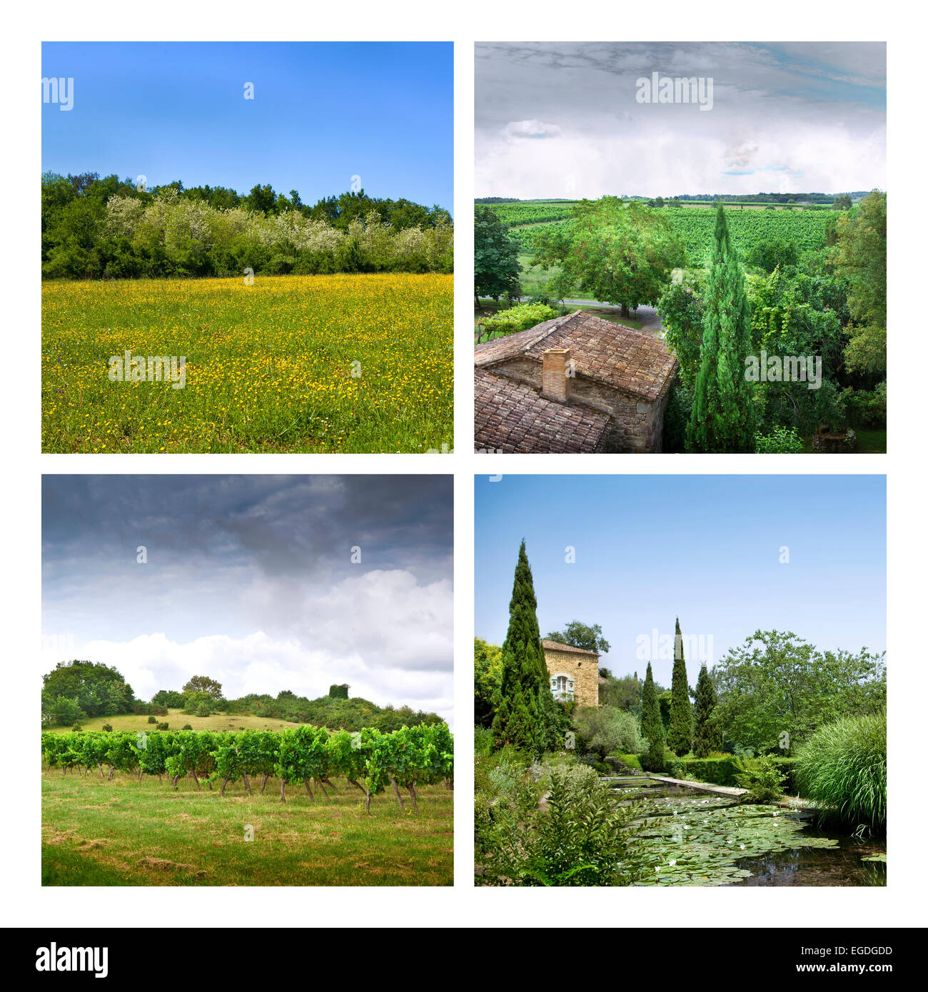 Vineyards and countryside on a collage Stock Photo - Alamy