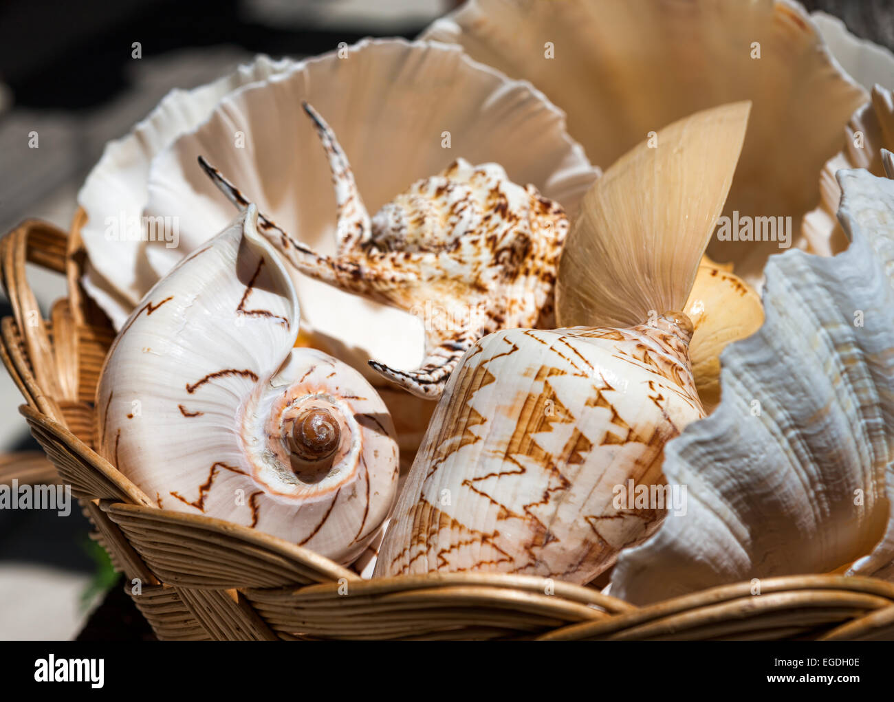 Ocean basket hi-res stock photography and images - Alamy