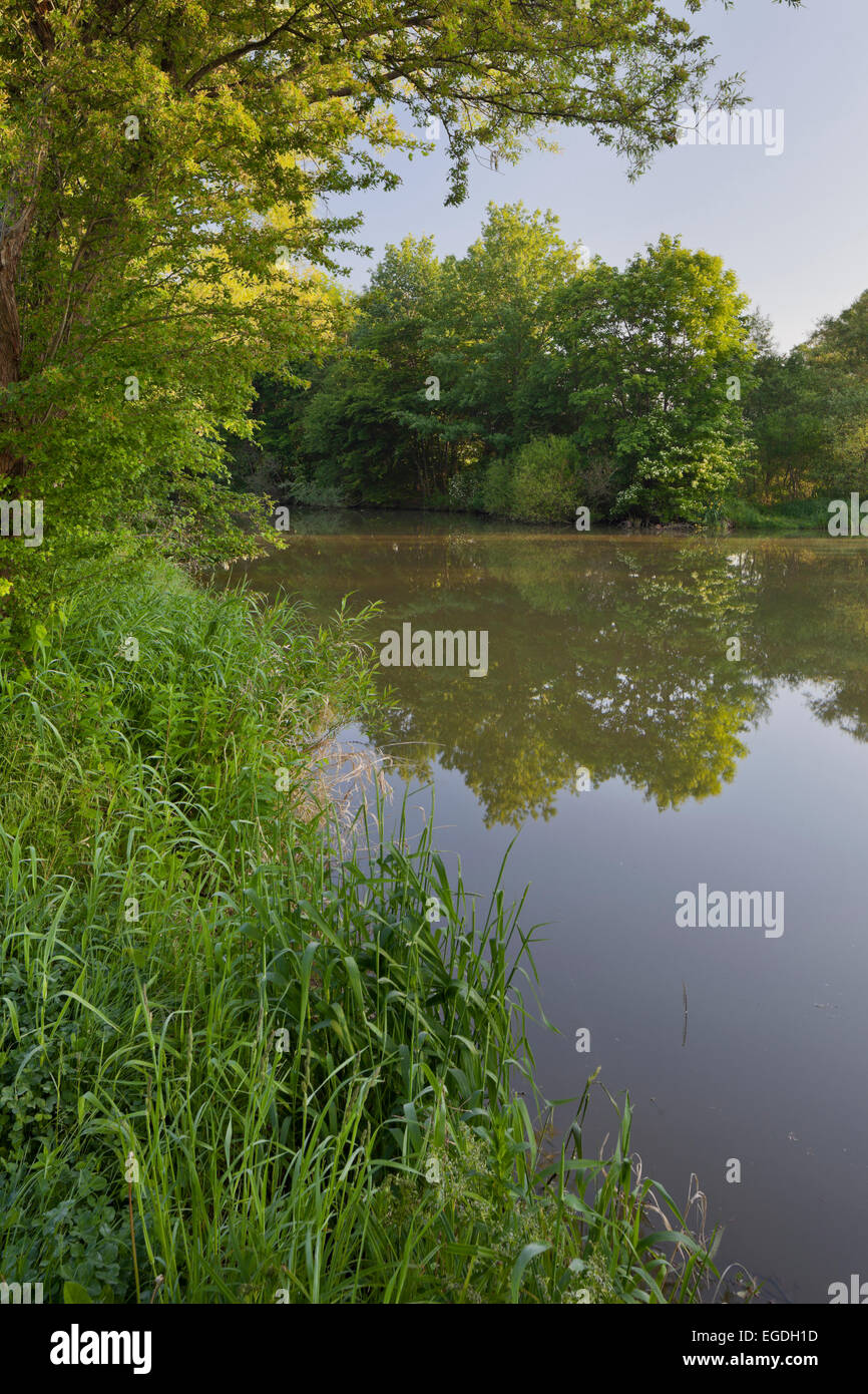 Fehring High Resolution Stock Photography and Images - Alamy