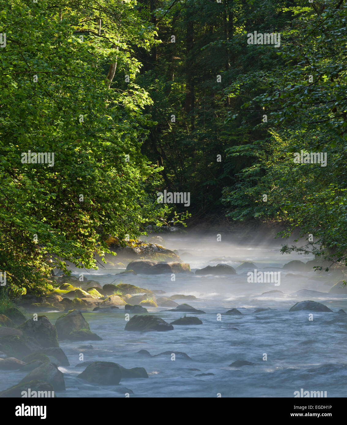 Steyr river hi-res stock photography and images - Alamy