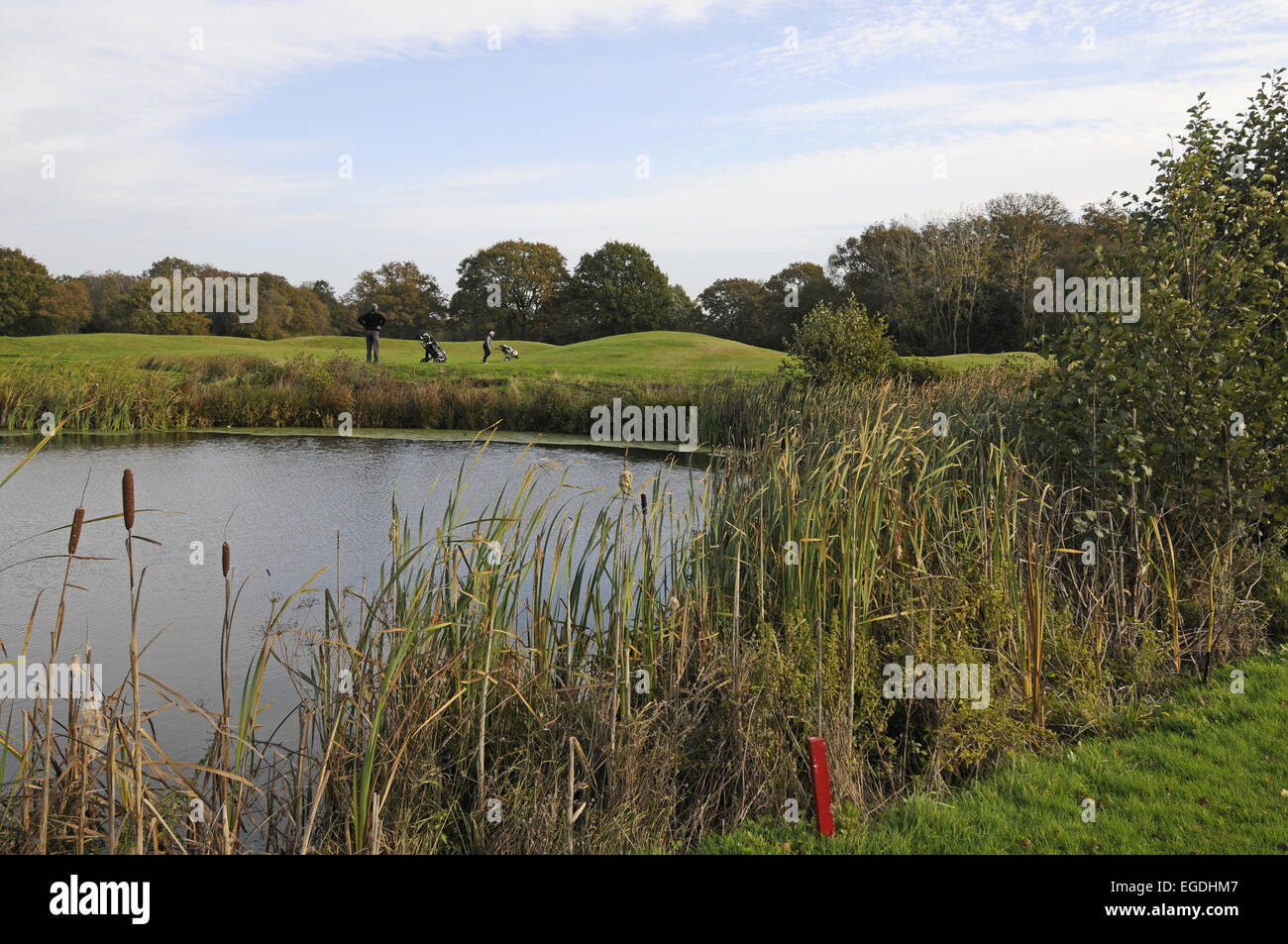 Alfold surrey hi-res stock photography and images - Alamy