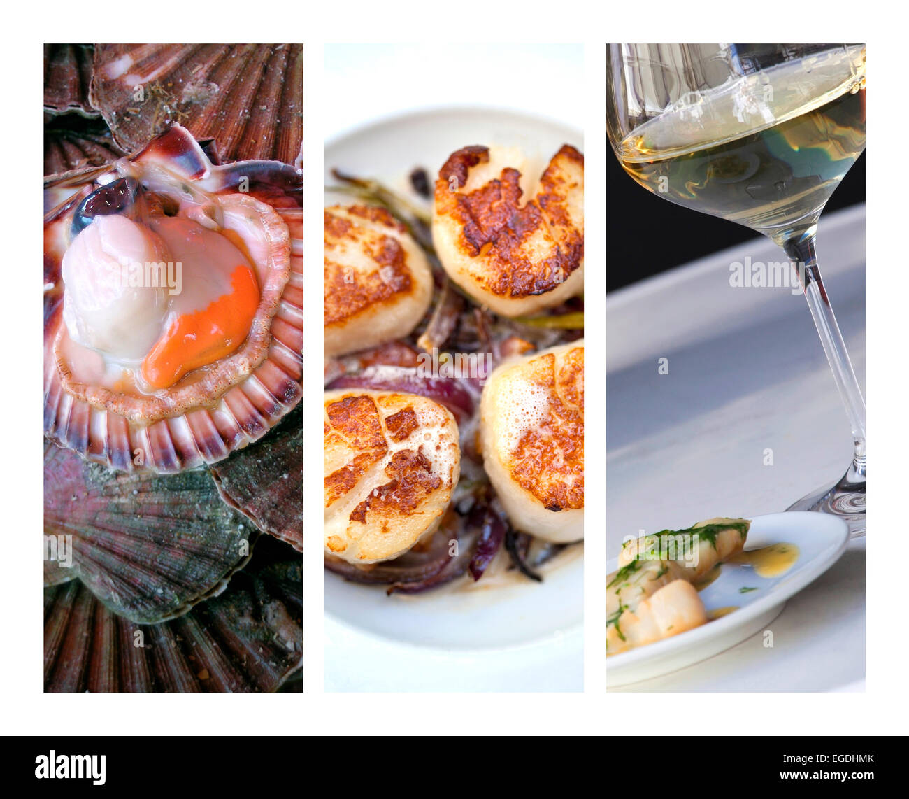 Saint jacques shell hi-res stock photography and images - Alamy