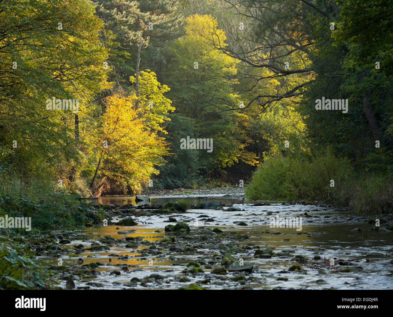 Baden bei wien austria hi-res stock photography and images - Alamy