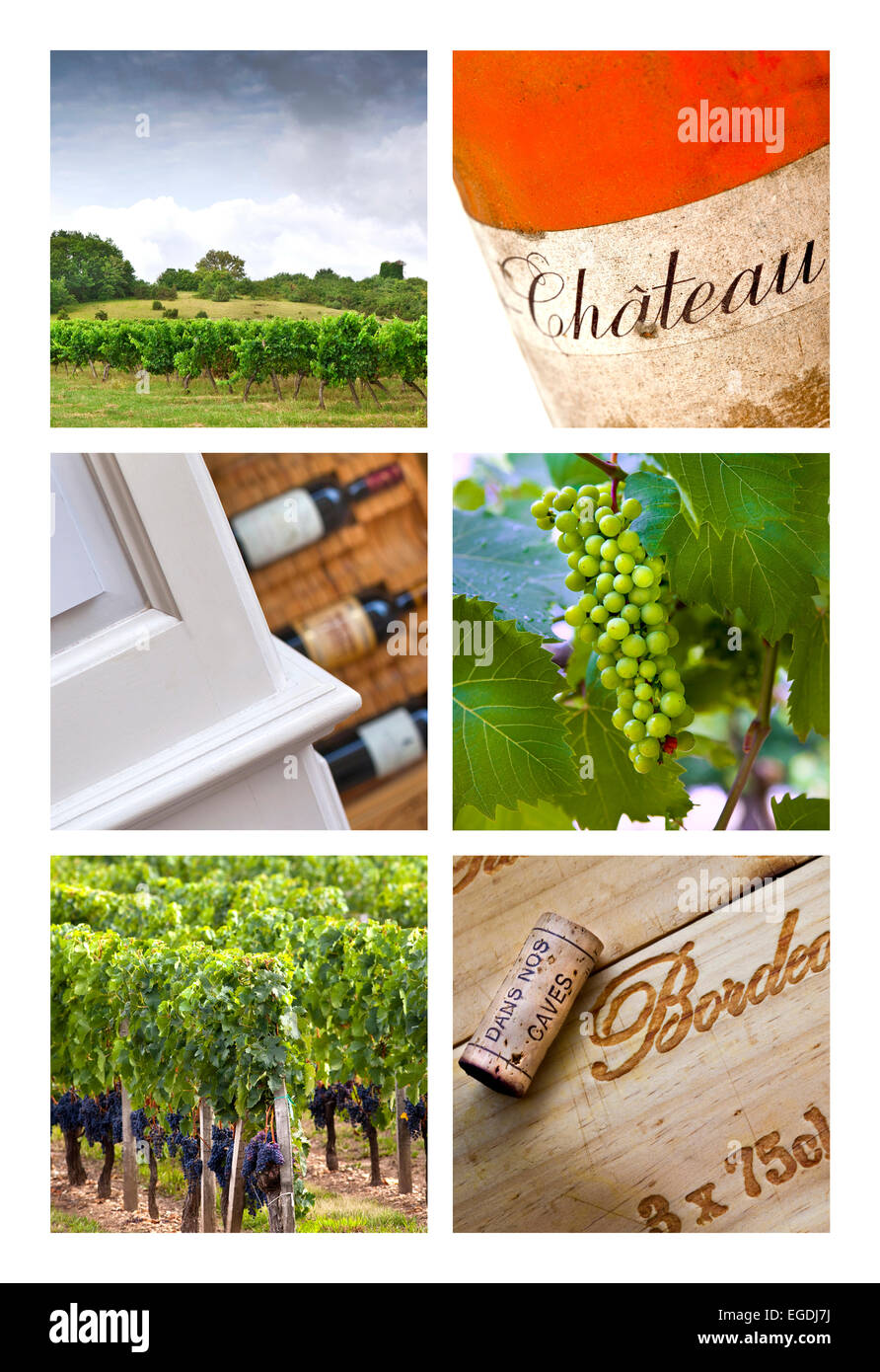 Wine and viticulture on a collage Stock Photo - Alamy