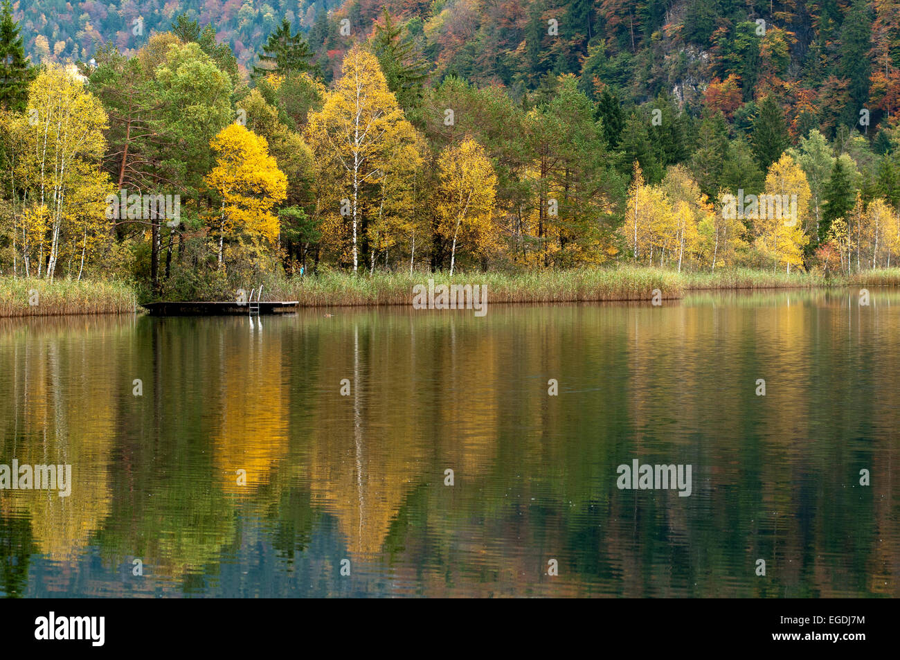 Lake Schwansee in Autumn, Ostallgaeu, Bavaria, Germany Stock Photo - Alamy