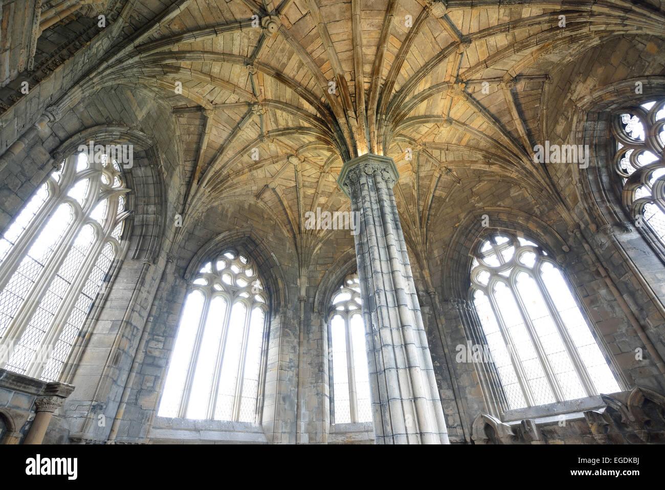 Arched roof in the chapter house of Elgin Cathedral, Elgin, Moray, East ...