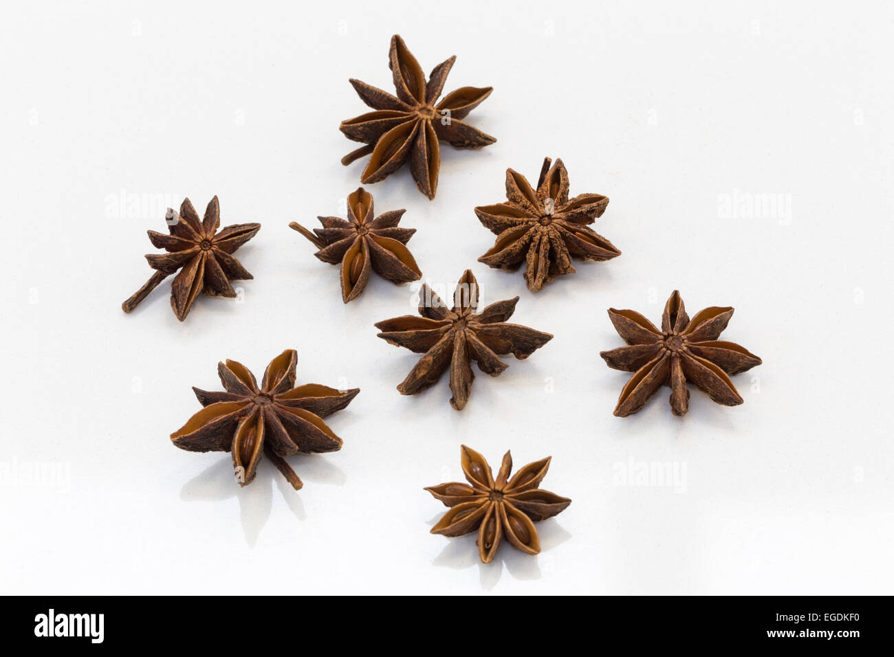 Real star anise in detail isolated Stock Photo - Alamy