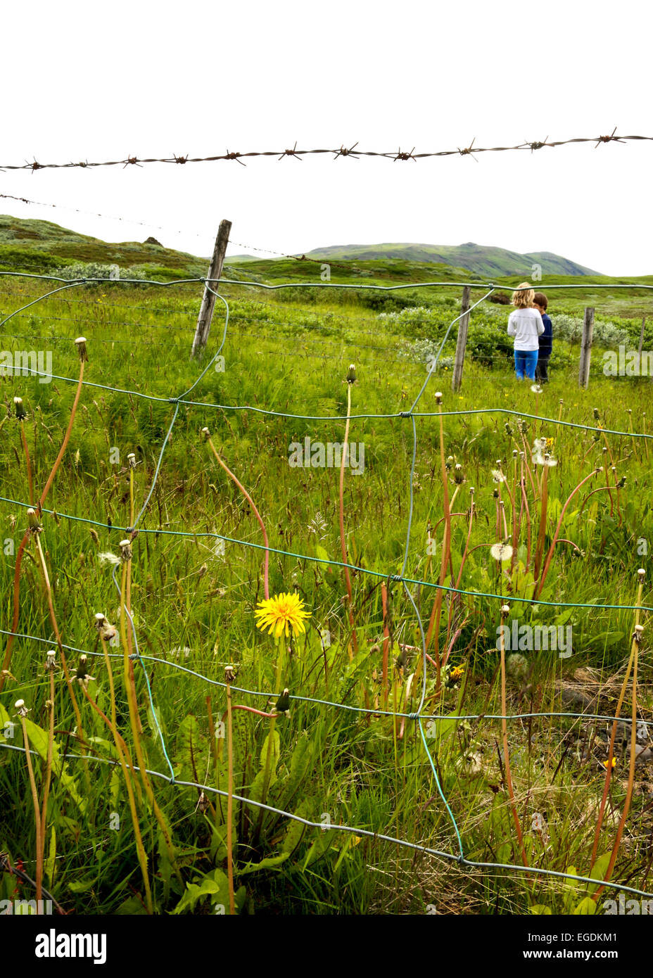 Children in the field Stock Photo - Alamy