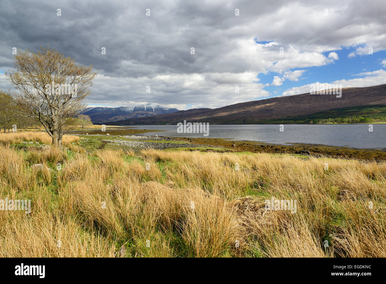 Ben Nevis above Loch Eil, Loch Eil, Highland, Scotland, Great Britain ...
