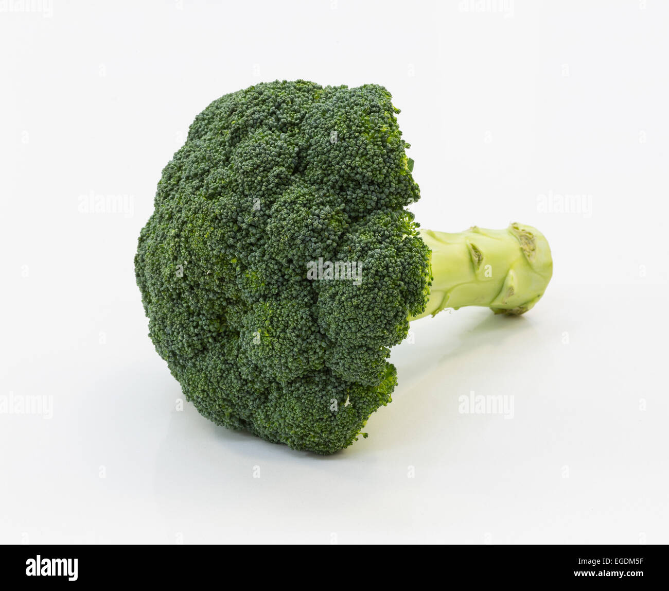 Broccoli vegetable in detail isolated Stock Photo - Alamy