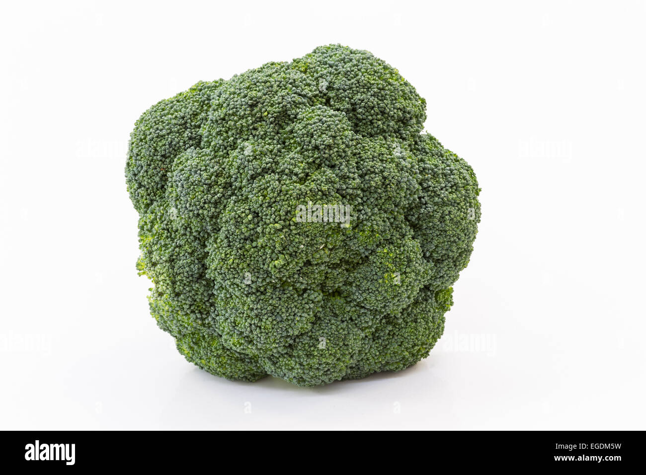 Broccoli vegetable in detail isolated Stock Photo - Alamy