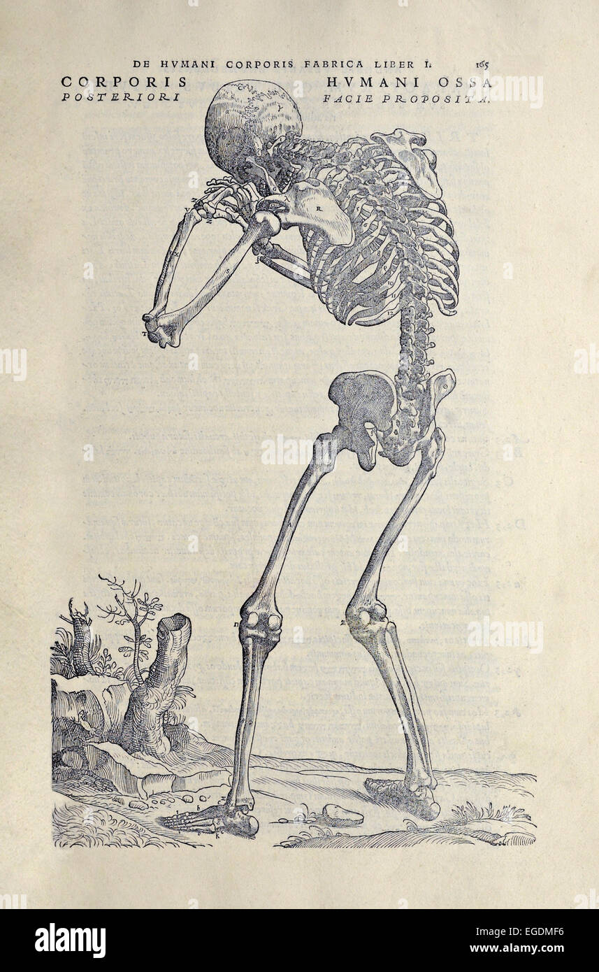 Dissection medieval hi-res stock photography and images - Alamy