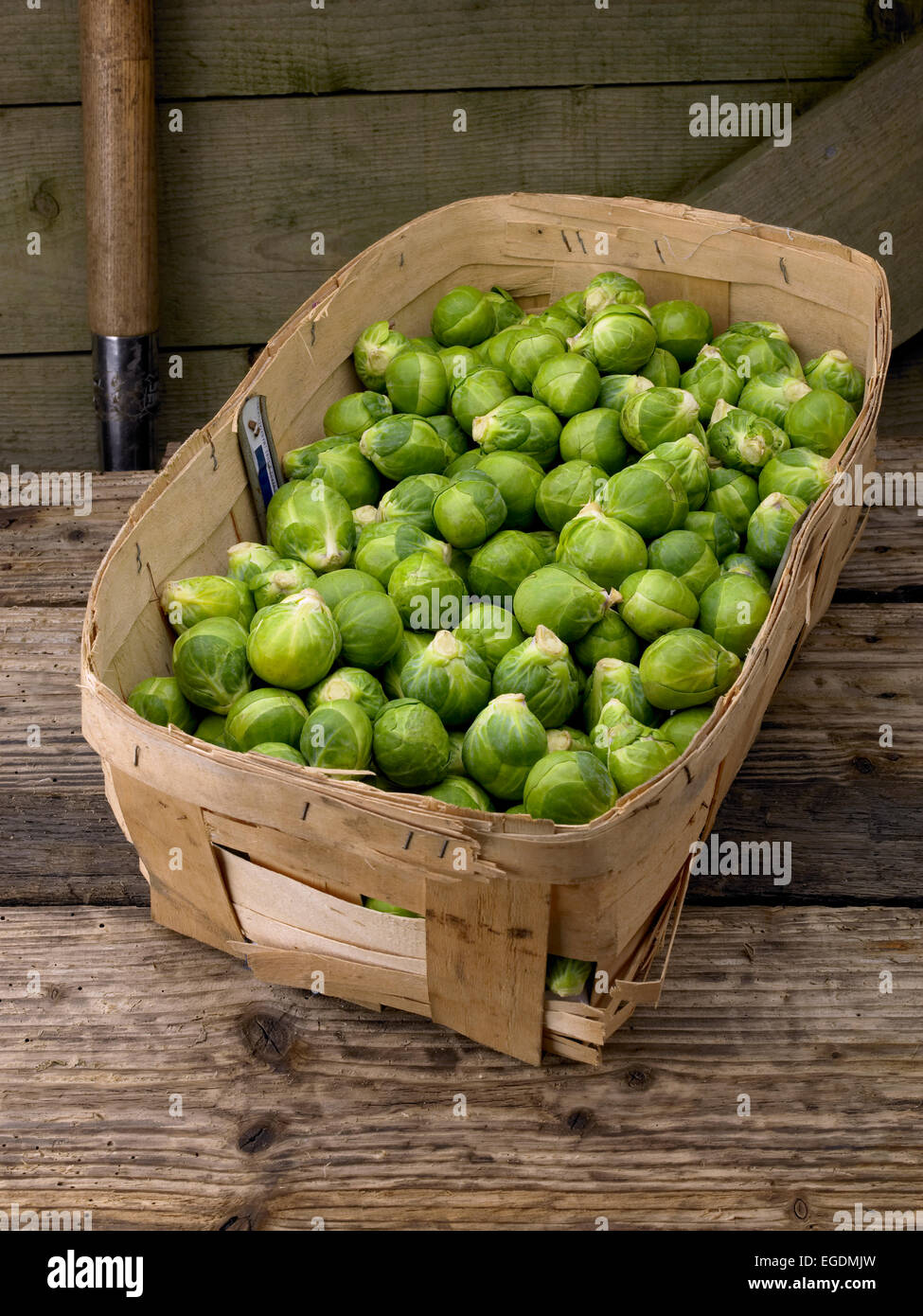English sprouts hi-res stock photography and images - Alamy