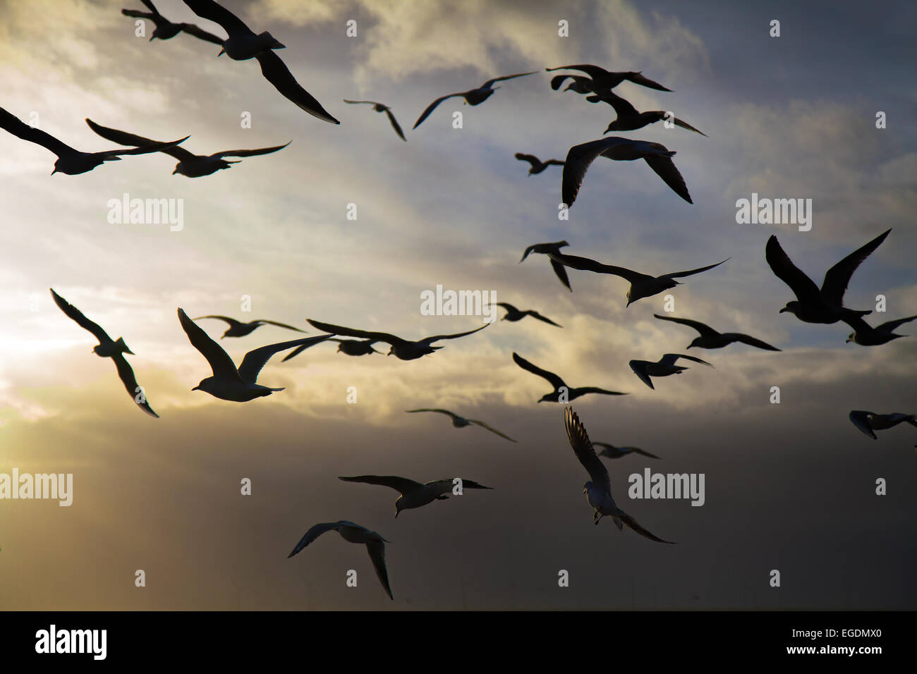 Liverpool, Merseyside, UK. 23rd February, 2015. UK Weather: Choppy and ...