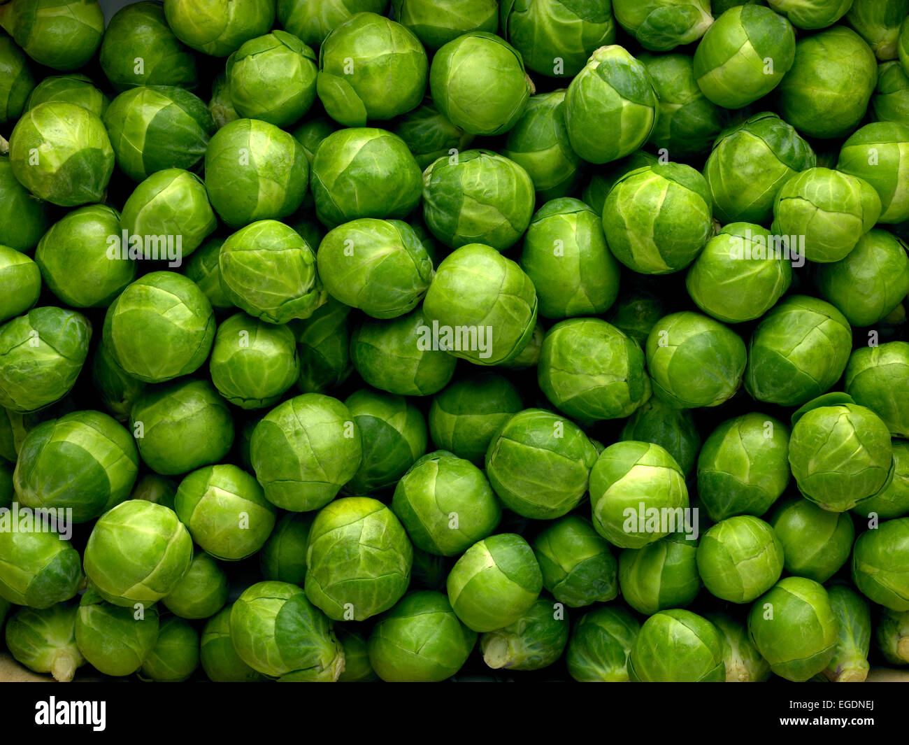 Vegetables sprouts hi-res stock photography and images - Alamy