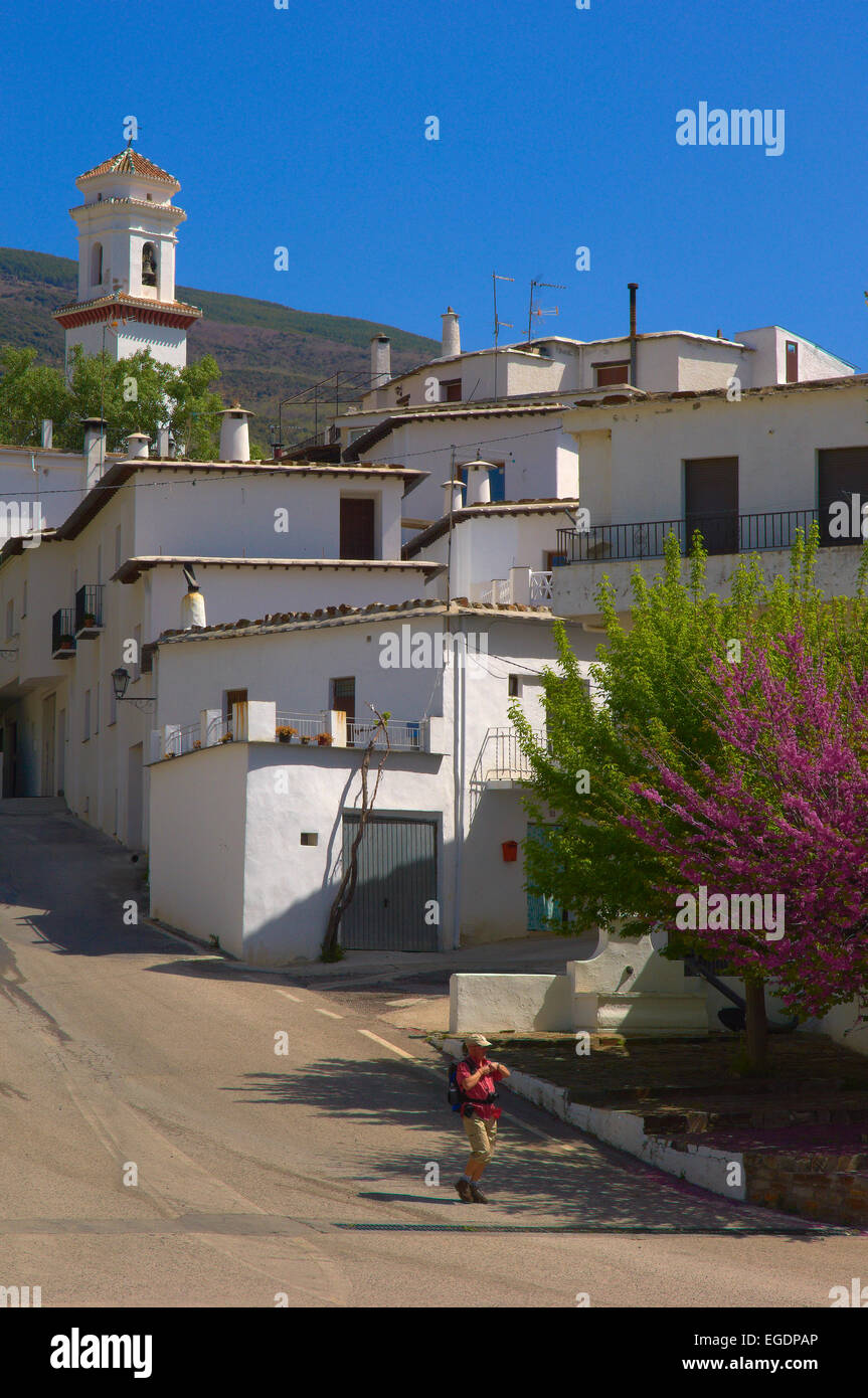 Pitres, Alpujarras Mountains area, Granada province, Andalusia, Spain ...