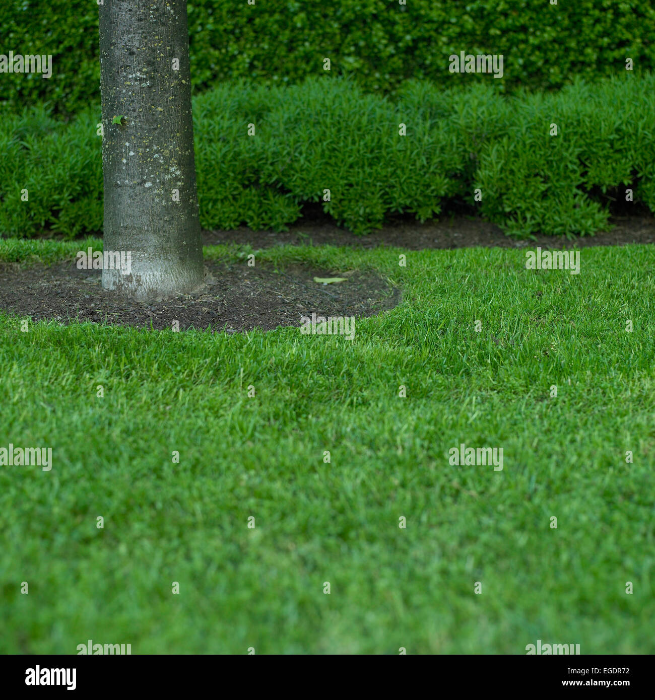 Basic Circle High Resolution Stock Photography and Images - Alamy