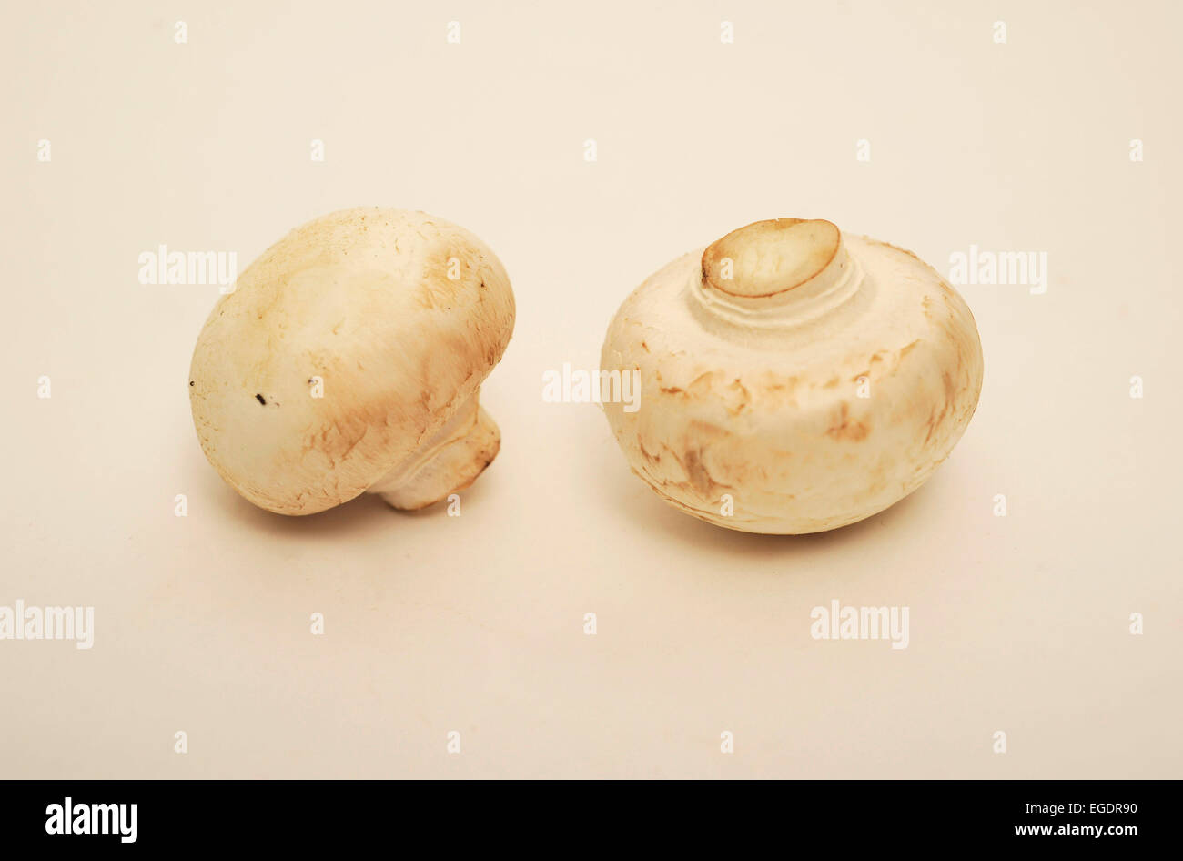 White button mushroom hi-res stock photography and images - Alamy