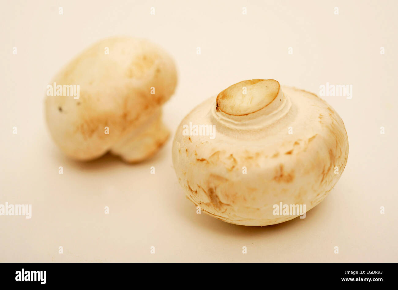 White button mushroom hi-res stock photography and images - Alamy