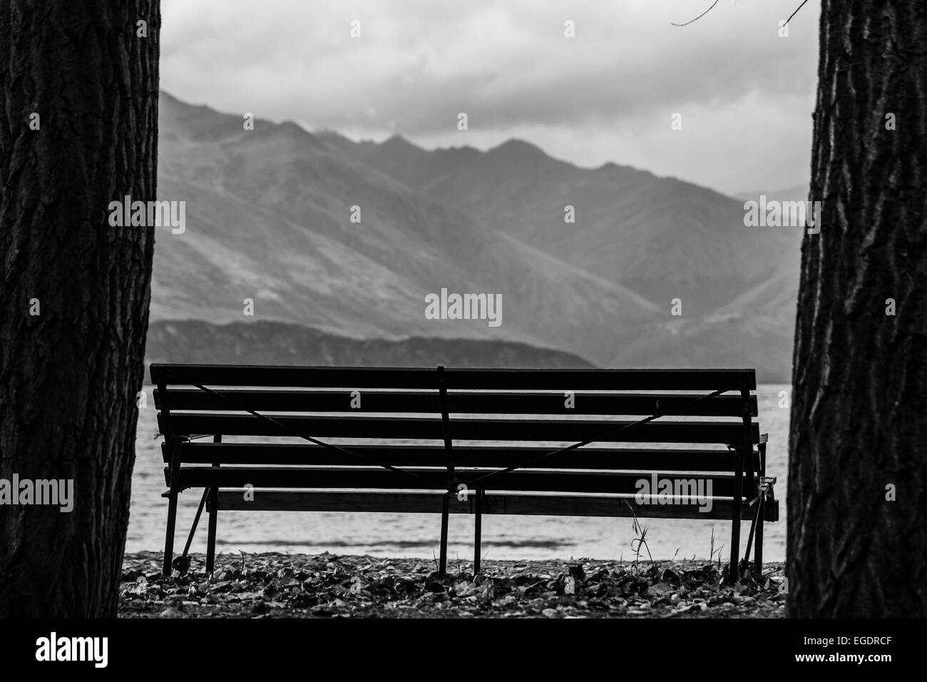triste bench between two trees in front of a lake Stock Photo - Alamy