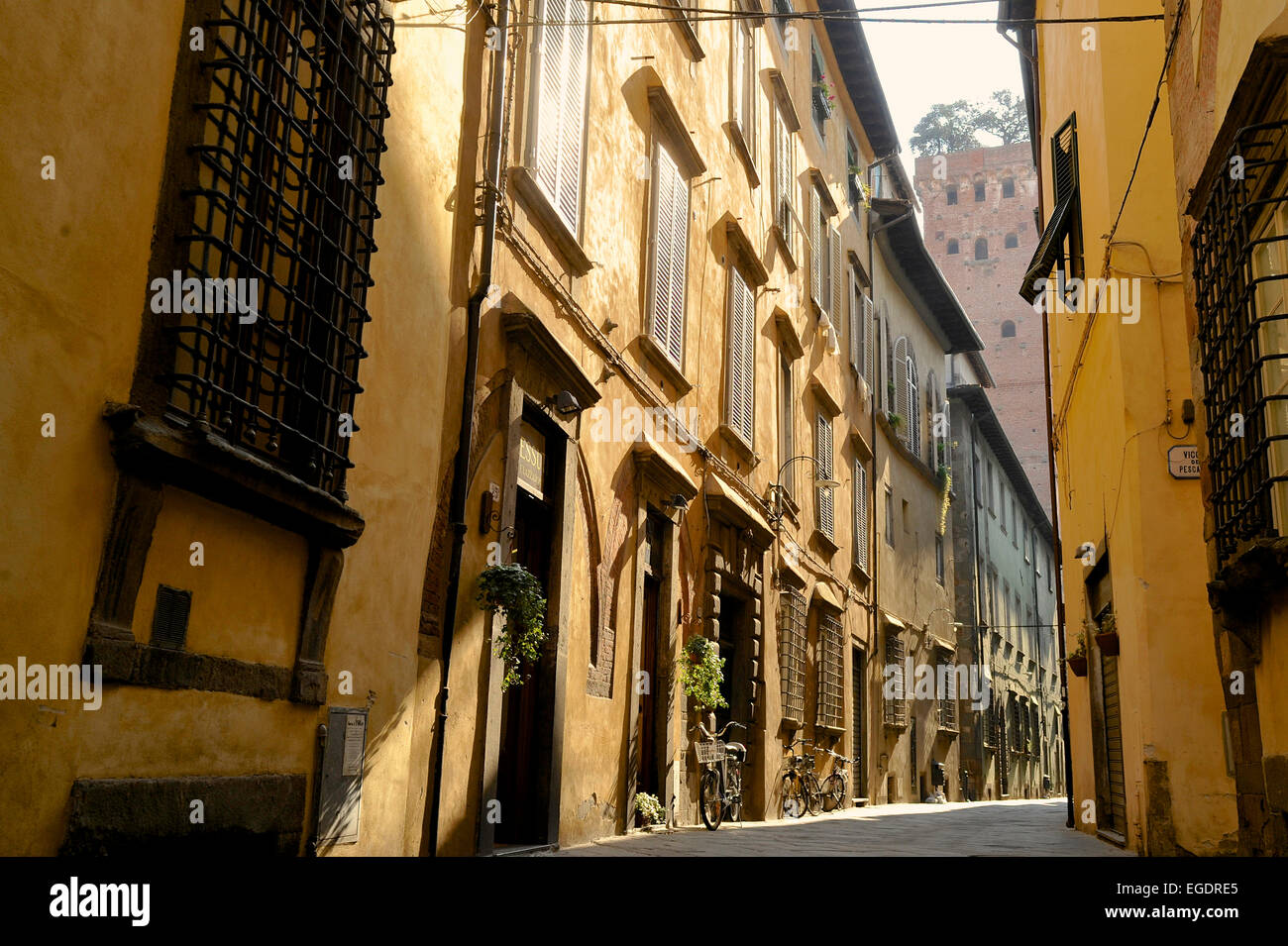 Narrow lane in the morning light with Torre Guinigi in Lucca, Tuscany ...