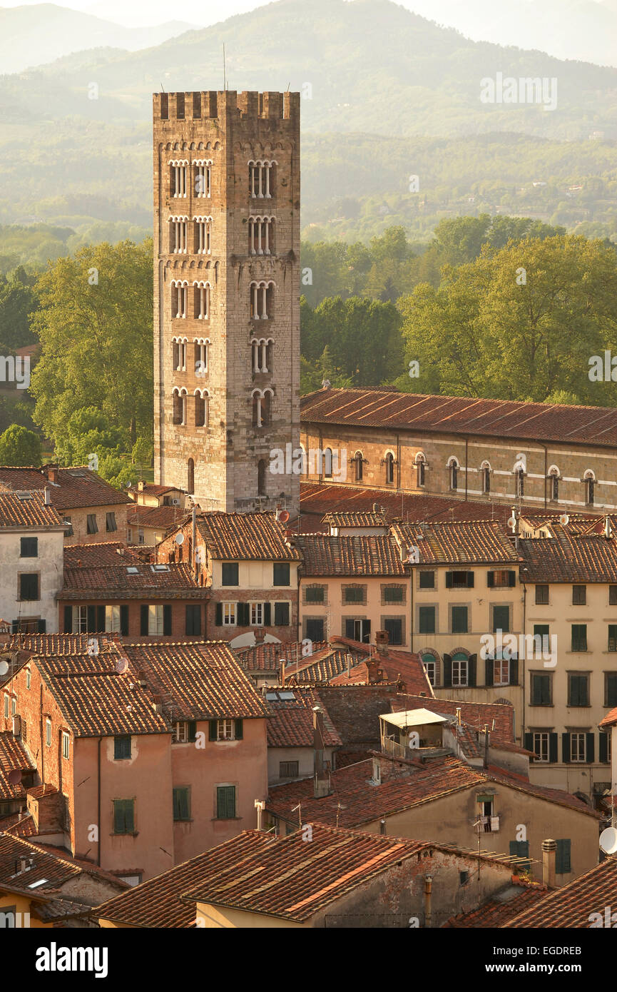 View over the old town of Lucca from Torre Guinigi, Lucca, Tuscany ...