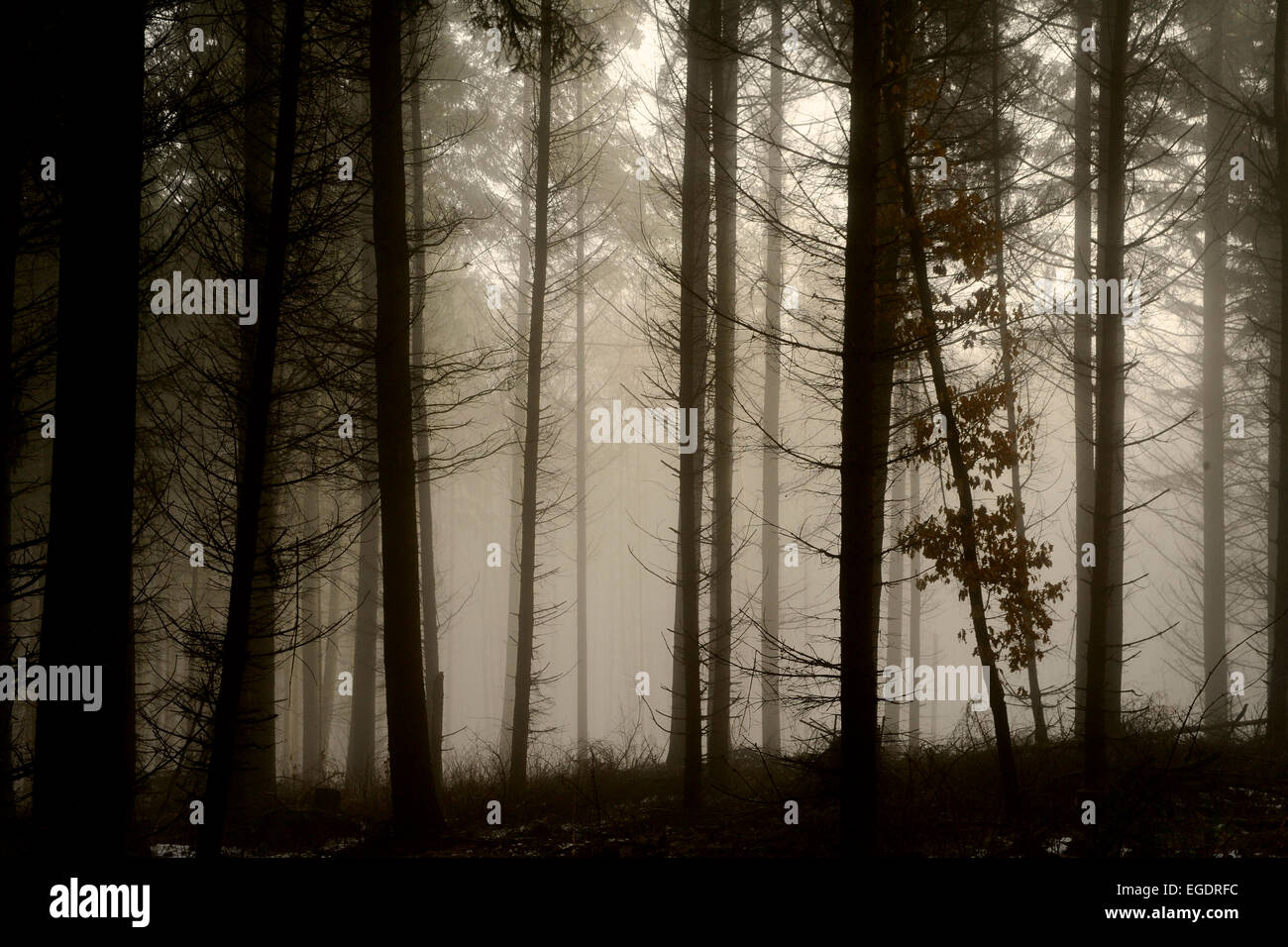 Unsharp High Resolution Stock Photography and Images - Alamy