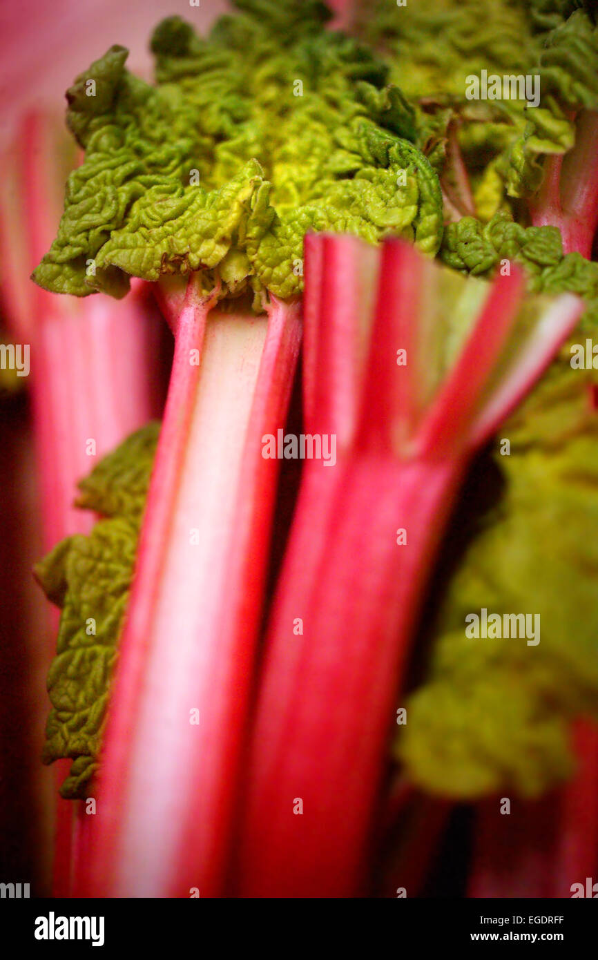 Sticks of rhubarb Stock Photo - Alamy