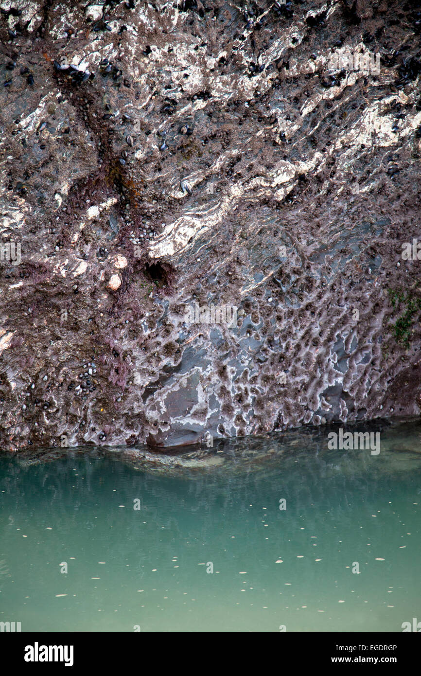 Turquoise pool, Cornwall Stock Photo - Alamy