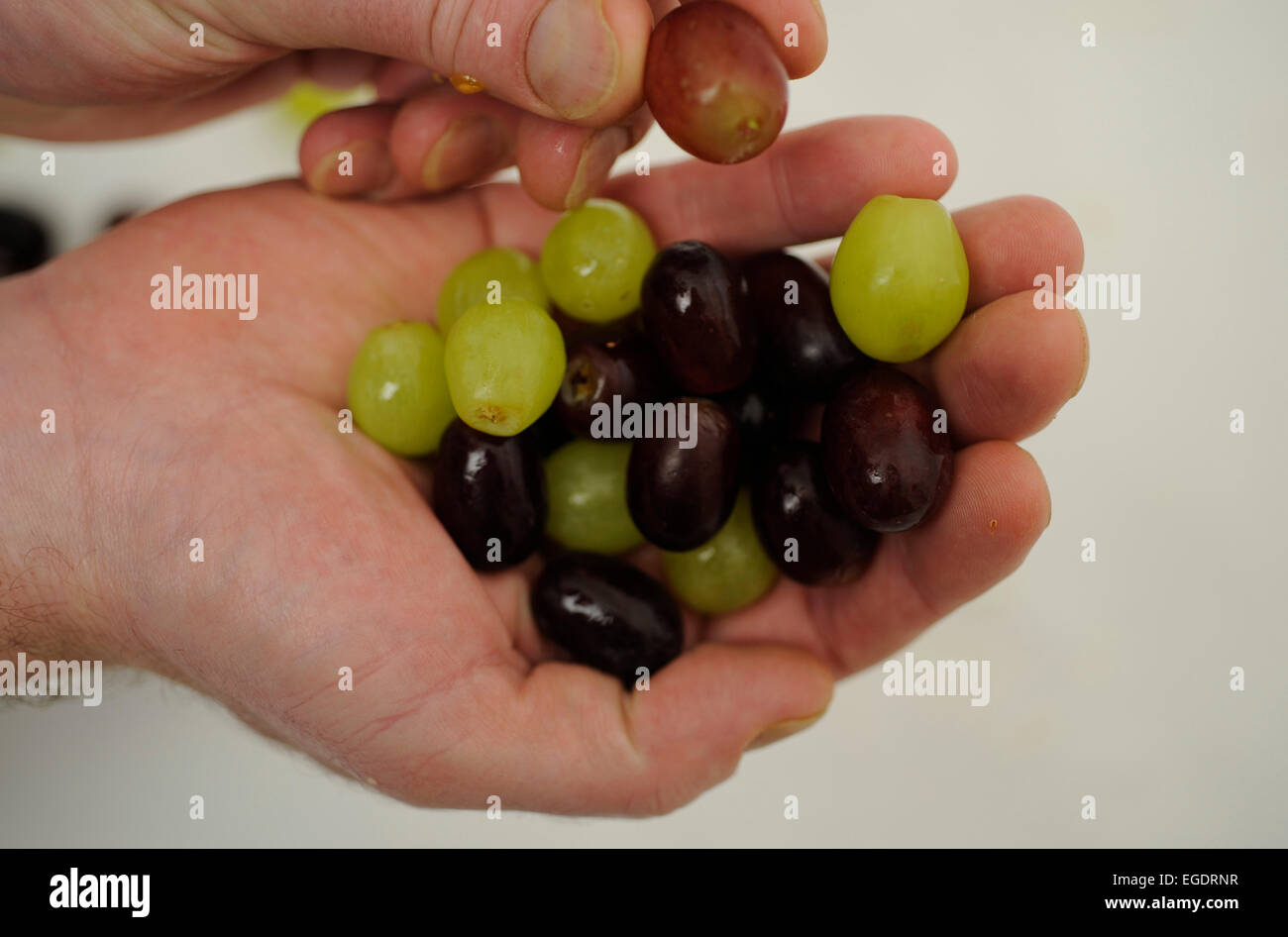 Male Holding Grapes Stock Photo - Alamy