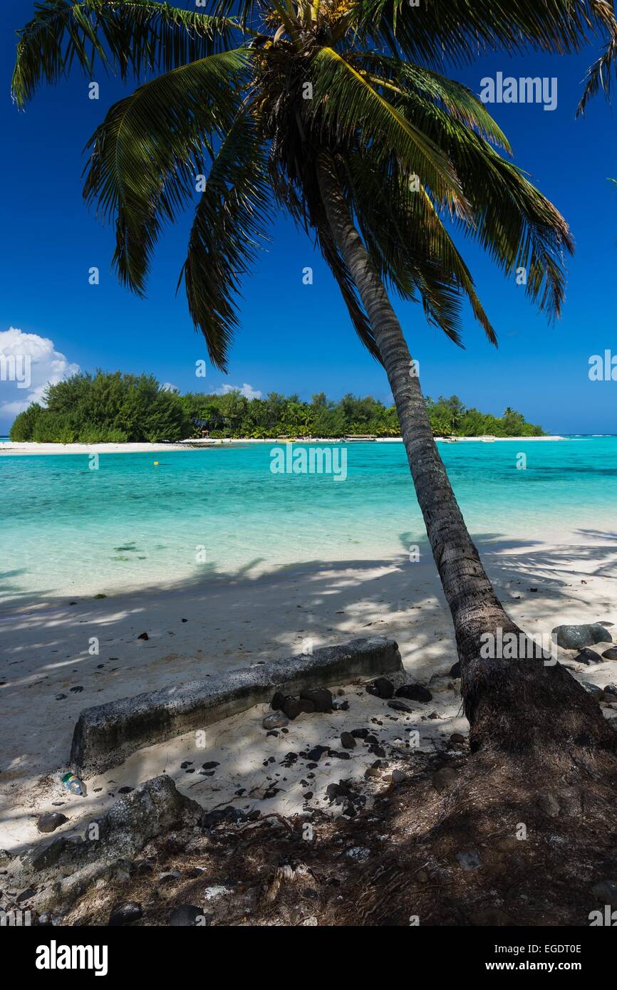 the incredibly blue ocean at the cook islands Stock Photo - Alamy