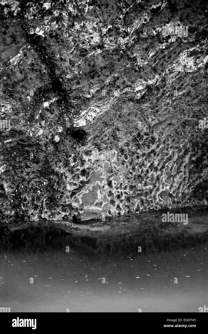 Rock pool cornwall Black and White Stock Photos & Images - Alamy