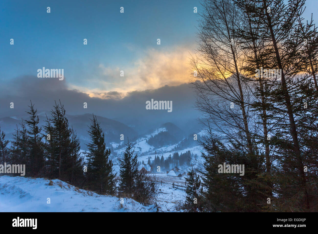 Snowstorm. Winter in the mountains. The Ukraine Stock Photo - Alamy