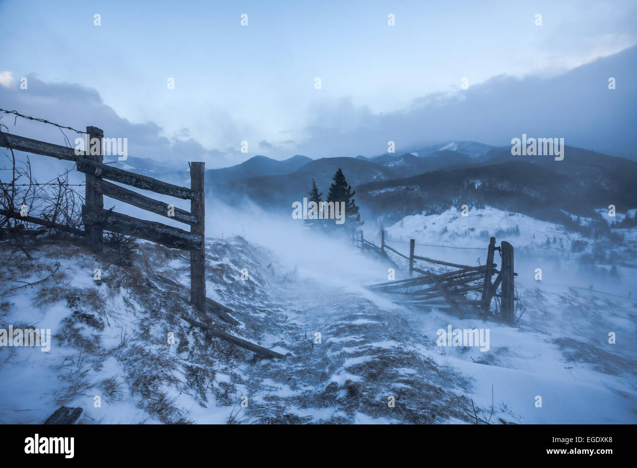 Snowstorm. Winter in the mountains. The Ukraine Stock Photo - Alamy