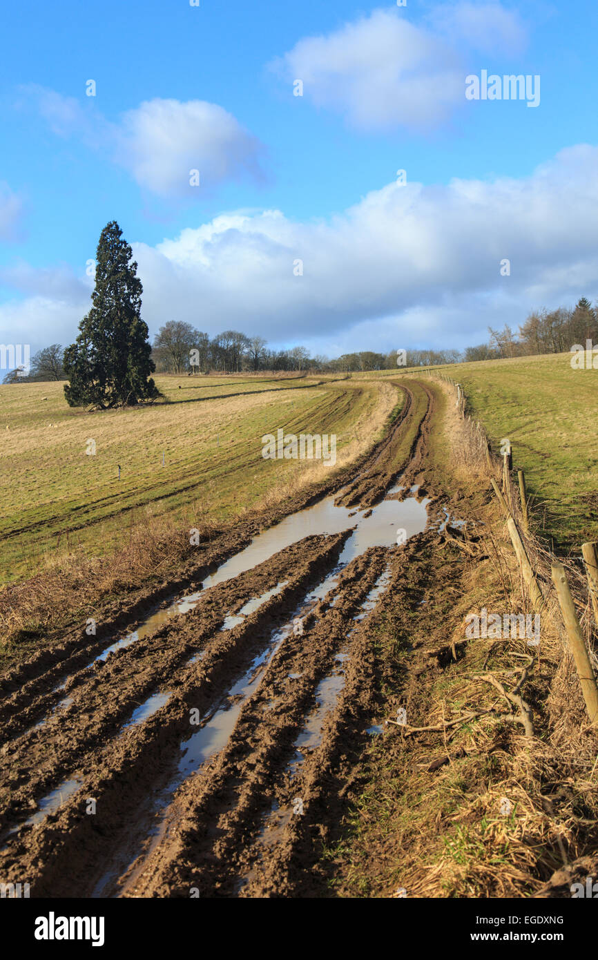 Muddy countryside track England Stock Photo - Alamy